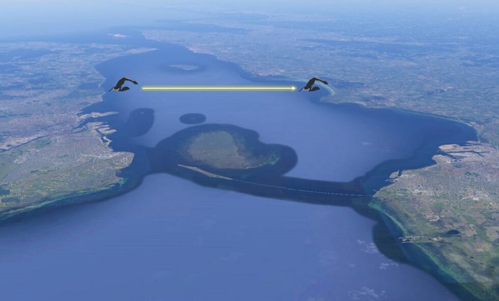 General information | SwimÖresund